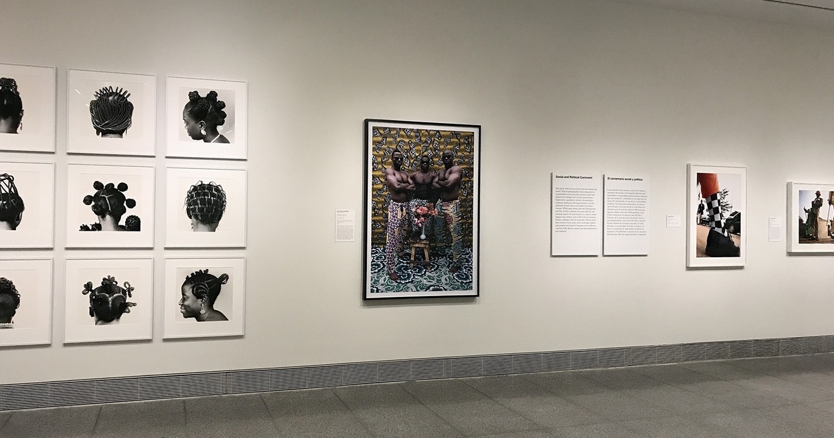 Museum of Fine Arts, Houston | Larkin Durey